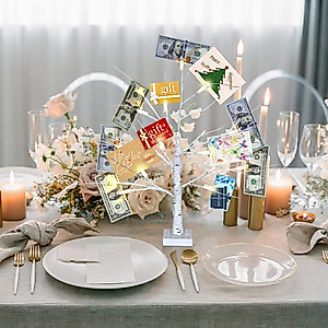 DECORKEY Money Tree Gift Holder, 24" 2FT Birch Tree with LED Lights, Battery Powered Timer Display Trees Stands with 12 Clear Clips Card, for Christmas, Birthday, Wedding, Photo, Graduation (White)