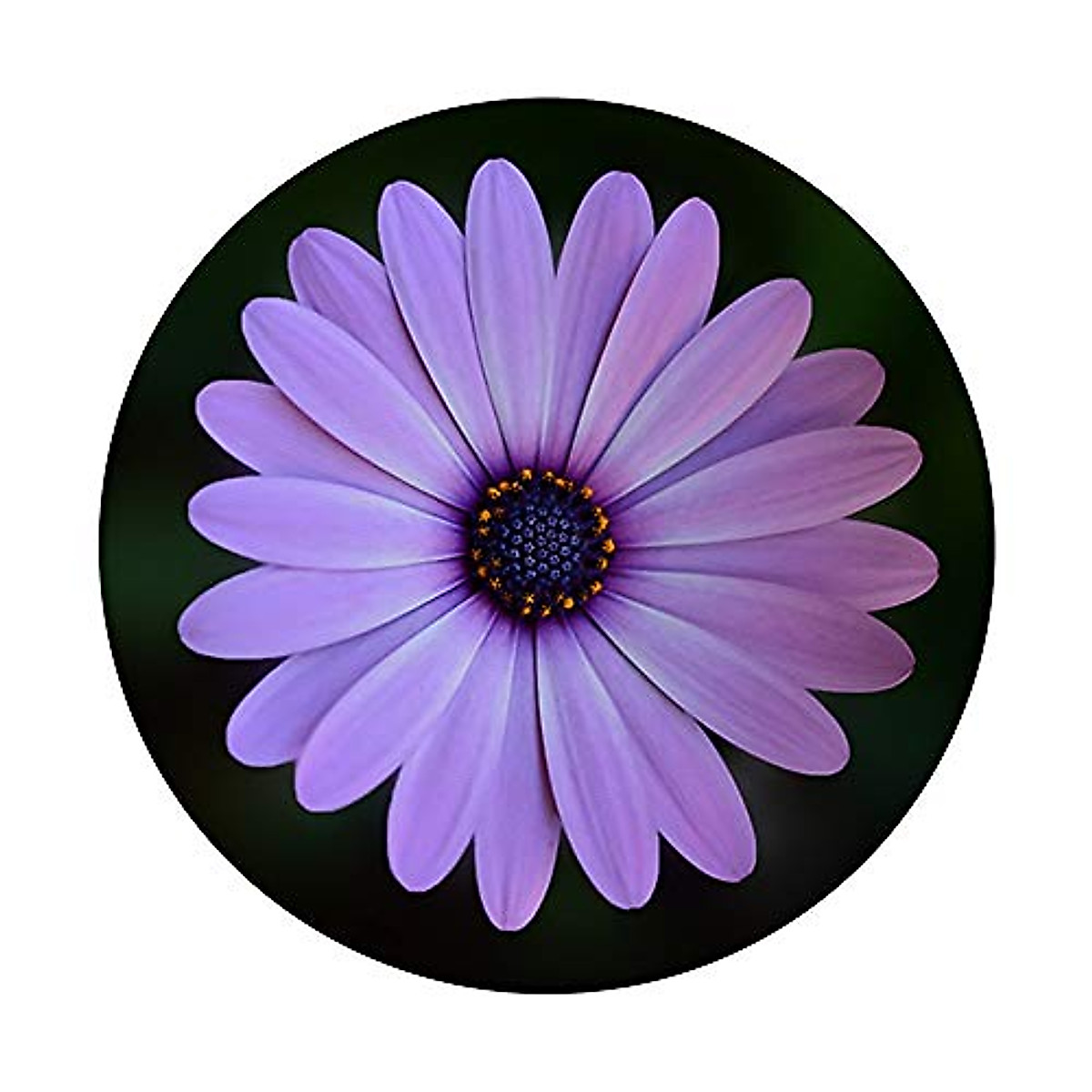 Pink Purple flower a gift for nature lovers and spring PopSockets PopGrip: Swappable Grip for Phones & Tablets