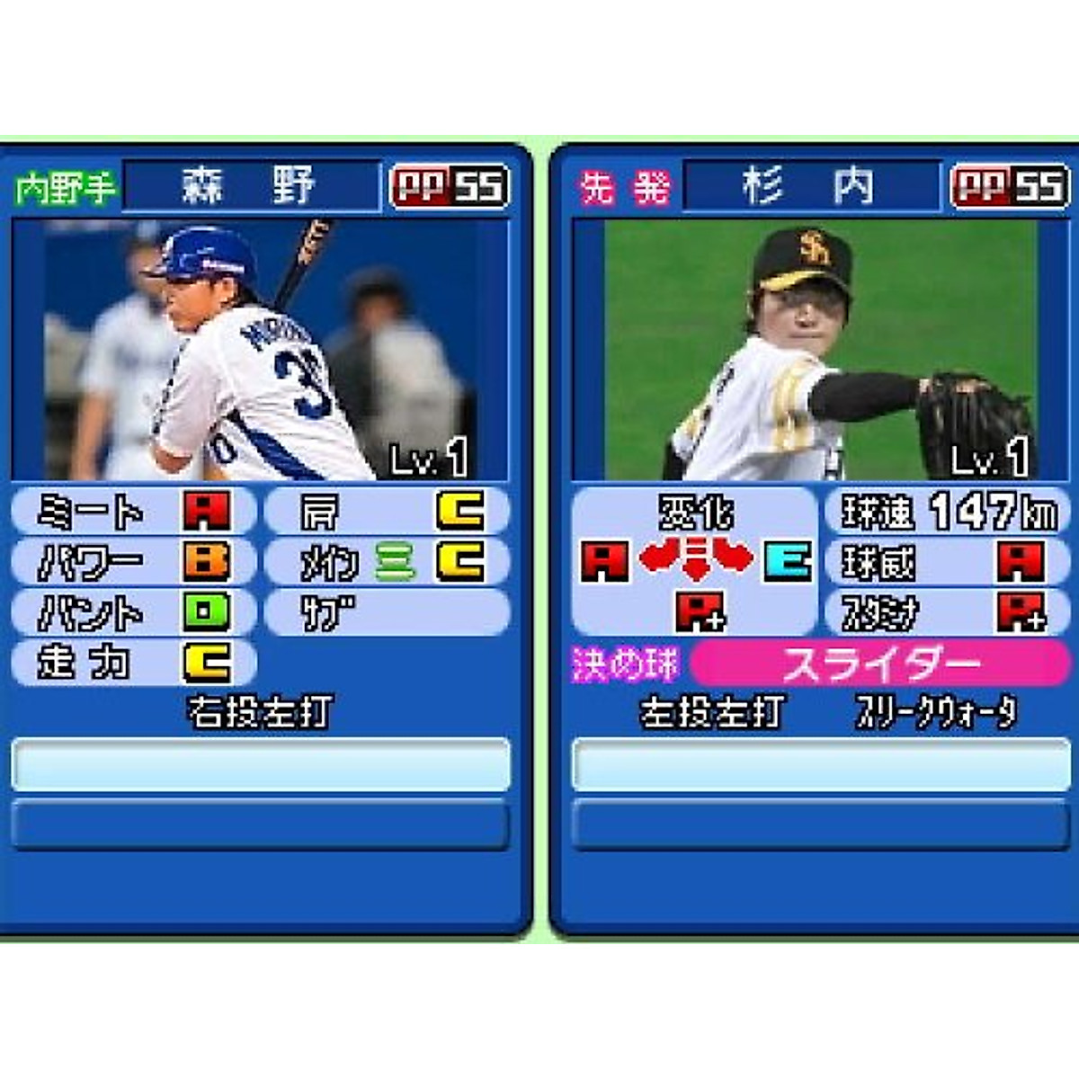 Pro Yakyuu Famista 2011 [Japan Import]