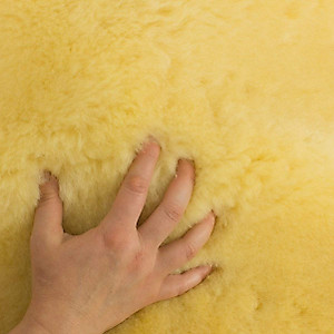 Sheepskin Large Medical Tanned + Shampoo Bundle