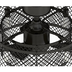 Fanimation Studio Collection LP8350BLAZ Vintere Caged Ceiling Fan with LED Light Kit, 20 Inch, Aged Bronze