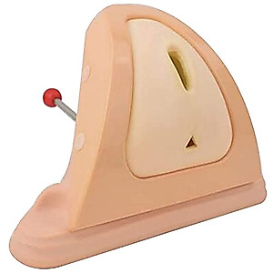 Vulva Suturing Training Simulator, Advanced Vulvar Suture Practice Model, Training Suturing for Vagina Model Perineum Suture Practice Training Skin Pad, Reproductive Anatomy Model for Medical Student