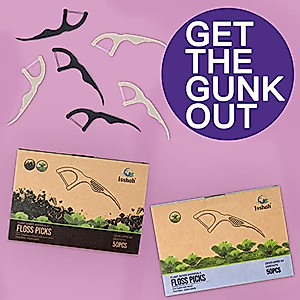 Natural Dental Floss Picks (100 Count) - Vegan, Eco Friendly, Sustainable Dental Flossers - Twin Floss (Mint)