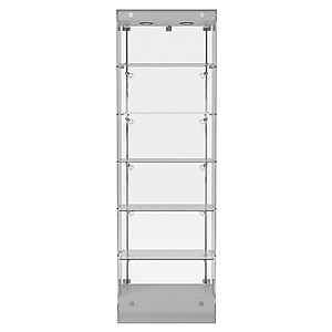 Displays2go Glass Display Case with LED Lighting, Locking Swing Open Door, Tempered Glass Shelves with MDF Top & Base – Clear & Silver (GTAP24LEDS)