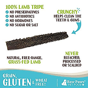 Raw Paws Green Lamb Tripe Sticks for Dogs, 25-Pack - Single Ingredient, Crunchy Green Tripe Lamb Dog Treats - Grass-Fed, Free Range Dehydrated Lamb Tripe for Dogs All Natural Dog Chews