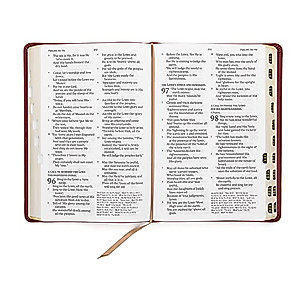 NASB Super Giant Print Reference Bible, Burgundy LeatherTouch, Indexed
