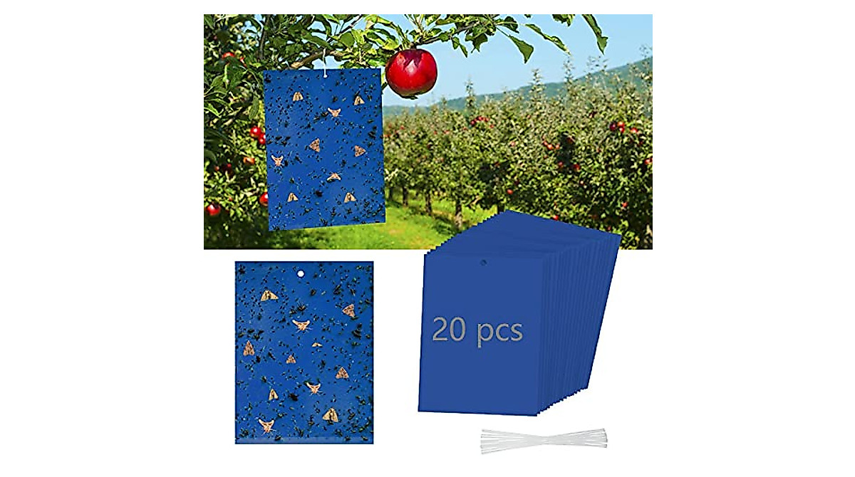20 Pack Blue Sticky Traps for Indoor & Outdoor Pest Control