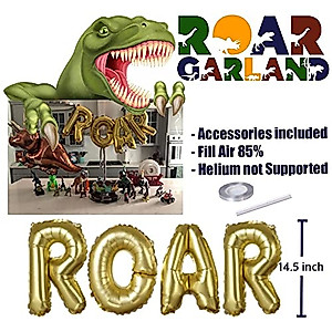 Dinosaur Party Decorations, Dinosaur Birthday Party Supplies & PDF Downloads, for Boys Girls, Dino Party Decorations with Jurassic Park Fringe Backdrop, Godzilla T Rex Balloons, 3, 4 year old (GOLD)