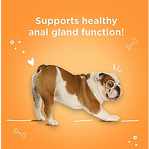 First Impressions No Scoots, Good Poops for Dogs - Tasty Soft Chews for Healthy Anal Gland and Digestion, High in Fiber for Dogs - with Beet Pulp, Psyllium Husk, and Pumpkin - 60 ct