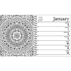 Johanna Basford 2020 Weekly Coloring Planner Calendar