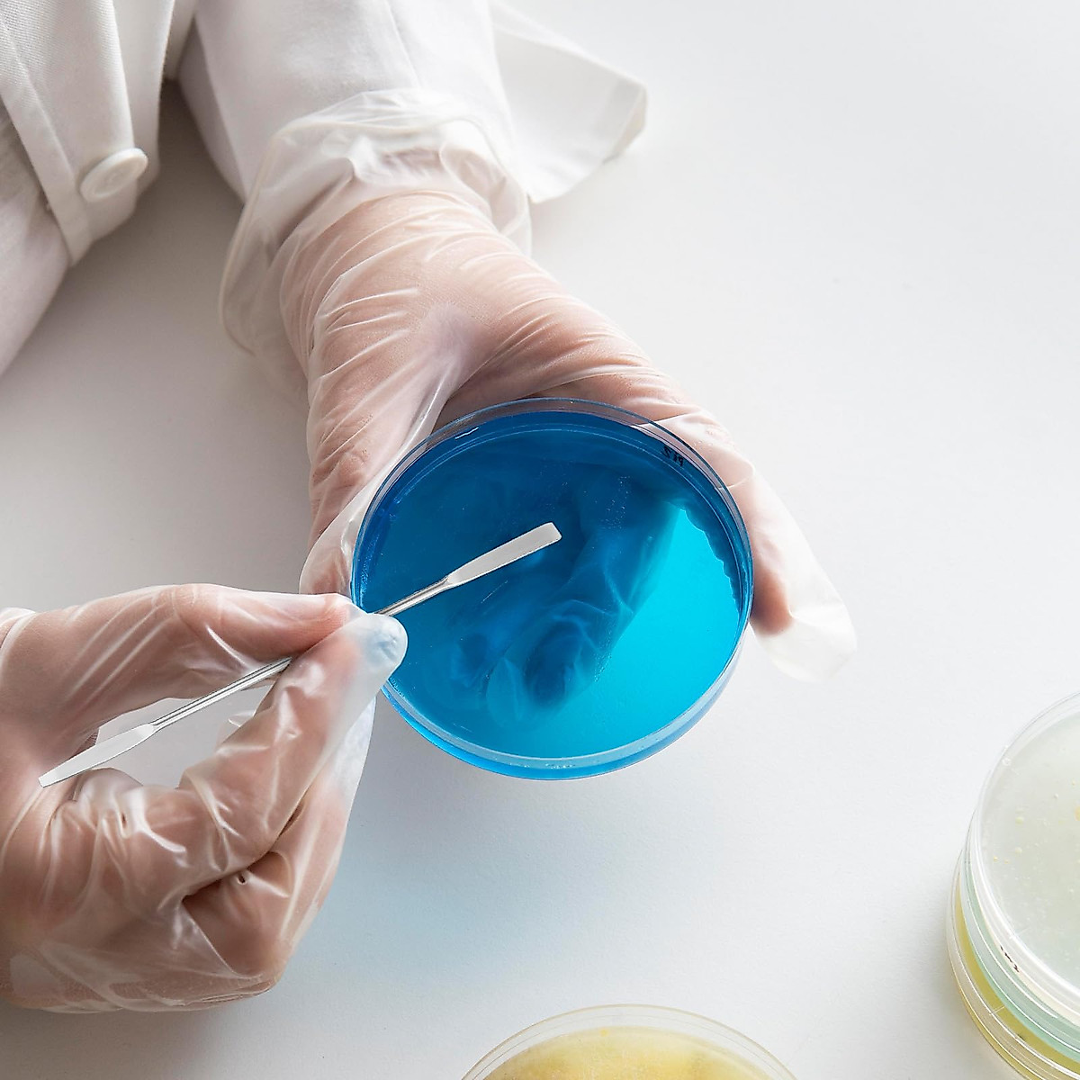 2PCS Stainless Steel Lab Laboratory Mini Double-Ended Spatula Micro Square/Round End Spatula, 6.2"