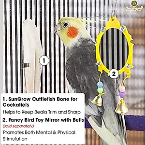 SunGrow 4 Pack Cuttlefish Bones for Cockatiels, Turtles, Shrimp, Dog Calcium Supplement, Cuttlebone Cage Holder Included