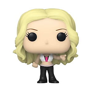 Funko Countdown Calendar: WWE - 2023 14 Days - Featuring Hulk Hogan, Chyna, Jerry Lawler®, Bret Hart and More - Advent Calendar - 13 Days of Surprises - Collectable Vinyl Mini Figures - Mystery Box