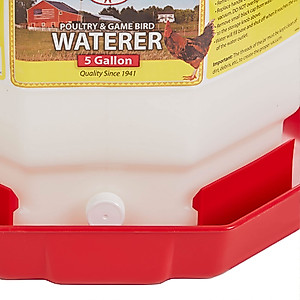 Little Giant Plastic Poultry Waterer