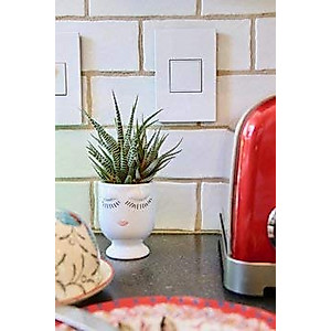 Legrand adorne 20Amp 1-Gang Pop-Out Outlet in Gloss White With Matching Wall Plate, ARPTR201GW2WP