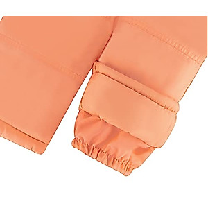 Carter's Baby Girl Two Piece Snowsuit, LG Floral, 24 Months