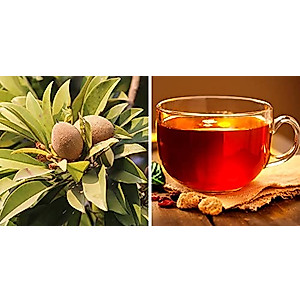 Yerbero - Te Herbal Hojas De Nispero 2oz (58gr) Herbal Tea (Loquat Leaves Tea) Stand Up Resealable Bag Crafted By Nature100% All Natural Fresh Tea Tea | Non-GMO |Gluten-free.