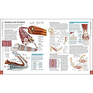 The Human Body Book: An Illustrated Guide to its Structure, Function, and Disorders (DK Human Body Guides)