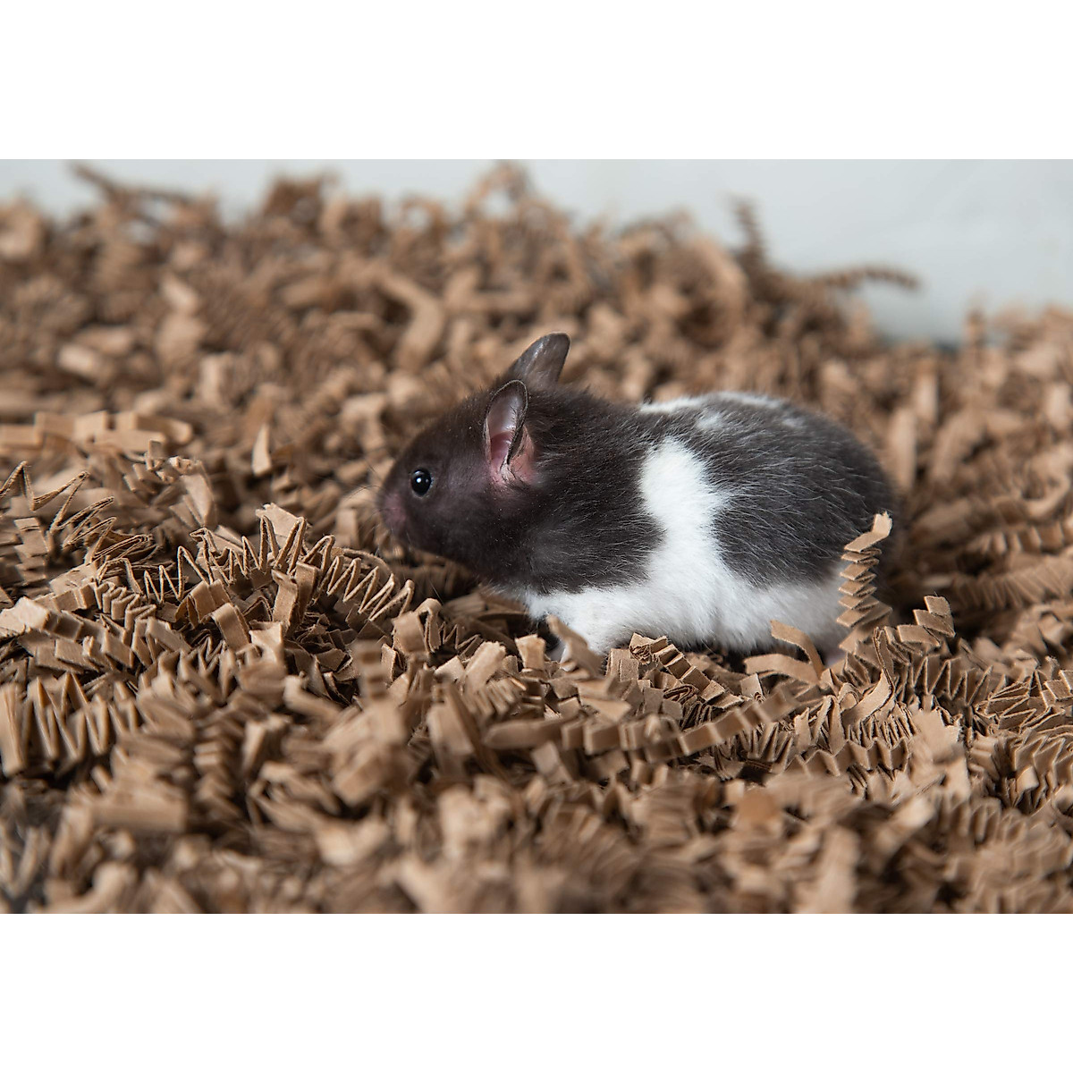 FiberCore Eco-Bedding Odor Control Pet