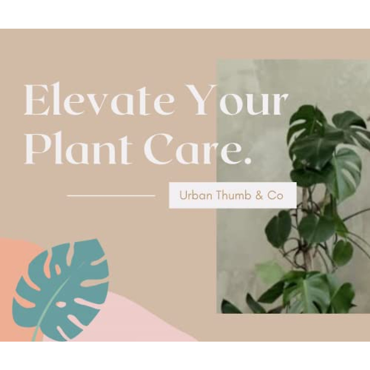 Urban Thumb & Co Ultra Fine Garden Plant Mulch - Top Cover for Indoor / Outdoor Potted House Plants - Compact Size, Potting Mix for Urban Plant Lovers- 3.25 Quarts