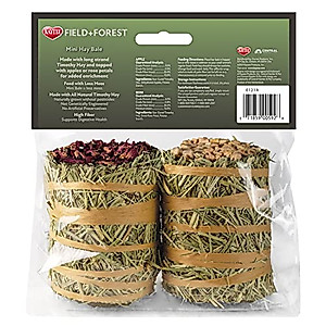 Kaytee Field+Forest Mini Hay Bales Apple and Rose 2 Pack 7 Ounces