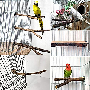 kathson Natural Wood Bird Perch Parakeet Stand Platform Parrot Paw Grinding Sticks Branches Bird Cage Accessories for Budgies Cockatiels Conure Parakeet Lovebirds 7 Pack