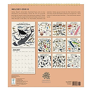 High Note 2024 Monthly Wall Calendar Planner, 16-Month Art Calendar: September 2023 - December 2024, 11" x 12" - Orders of The Animals