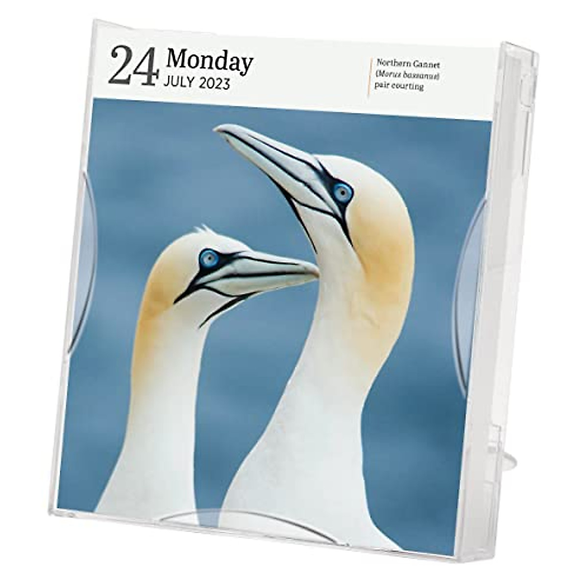 Audubon Birds Page-A-Day Gallery Calendar 2023: Hundreds of Birds, Expertly Captured by Top Nature Photographers