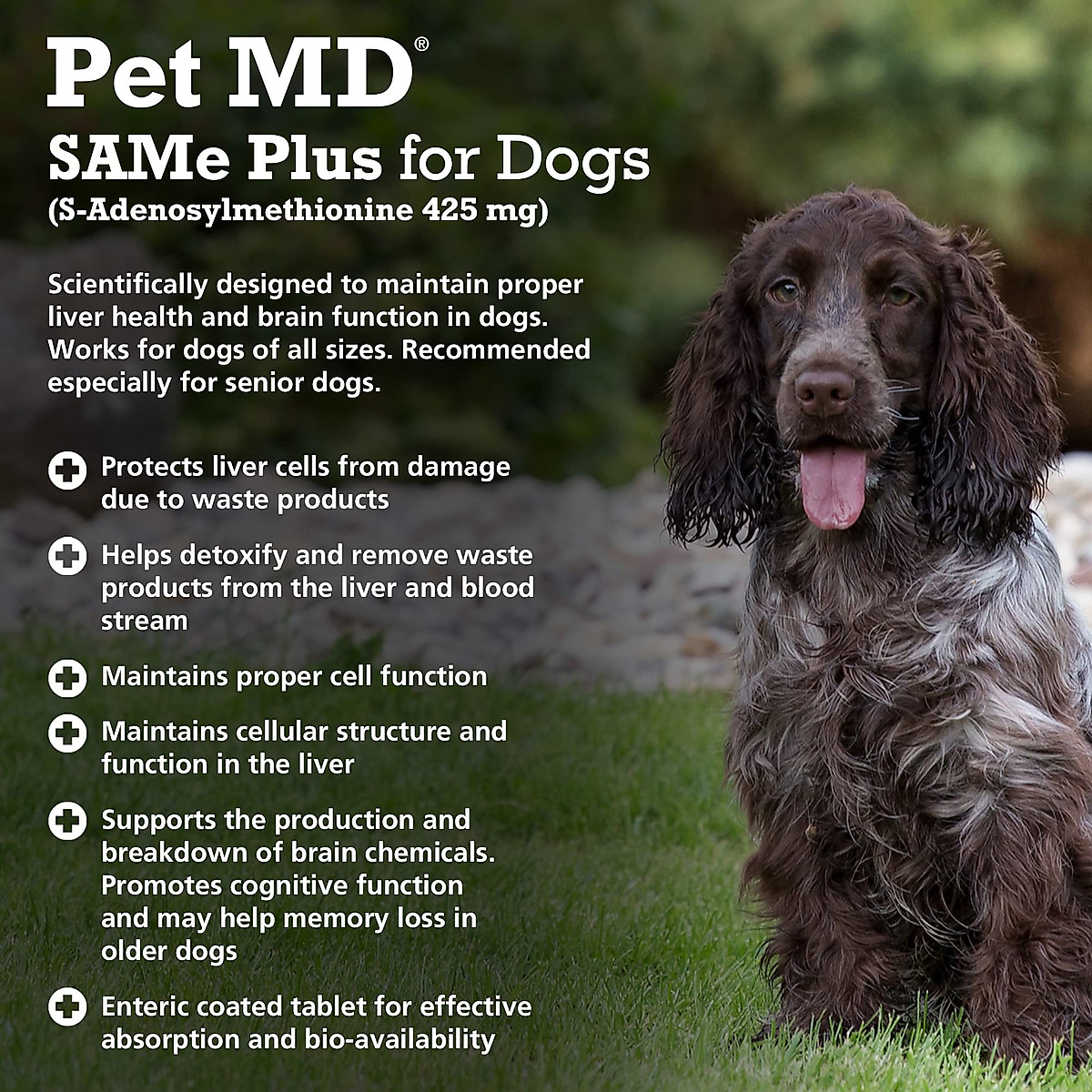 Pet MD Same Plus Liver Support for Dogs - Canine Hepatic Support & Brain Health Supplement - B Vitamins & Same for Dogs - Enteric Coated Tablets - 425mg - 30 ct