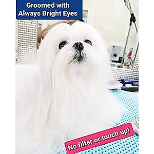 Always Bright Eyes - Tear Stain Remover for Dogs - Complete Set. All Natural, Safe & Effective for All Light Coated Breeds, Set Includes 4 Oz./118ml. Liquid, 2 Oz./56.7g Powder