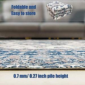 Area Rug 5x7 Washable Boho Vintage Rug with Non Slip Backing Soft Low-Pile Carpet Foldable Mat for Living Room Bedroom Dining Office, Light Blue/White