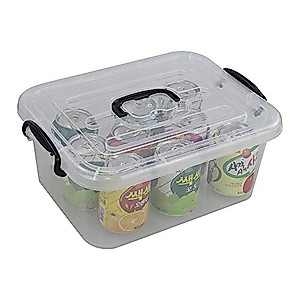 Xowine 8 L Plastic Storage Boxes, Clear Storage Bin with Black Handle, 2-Pack