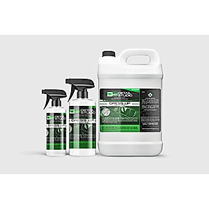 Detail Studio Dress Up, Interior Car Cleaner & Shiner for Car Care and Detailing, Cleaner for Dashboards, Screens, and Surfaces (Safe Cleaning on Leather, Vinyl, Plastic & More)(32 Fl. Oz)