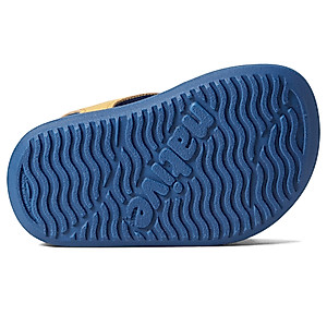 Native Shoes Baby Boy's Charley Sugarlite Block (Toddler) Wheat Frontier/Frontier Blue 7 Toddler M