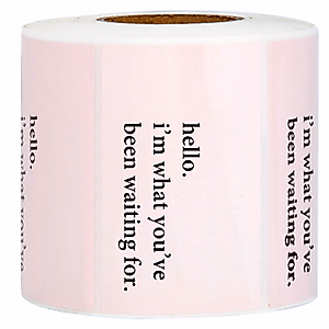 WRAPAHOLIC Hello I'm What You've Been Waiting for Stickers - Pink Business Thank You Stickers, Shipping Stickers - 2 x 3.2 Inch 350 Total Labels