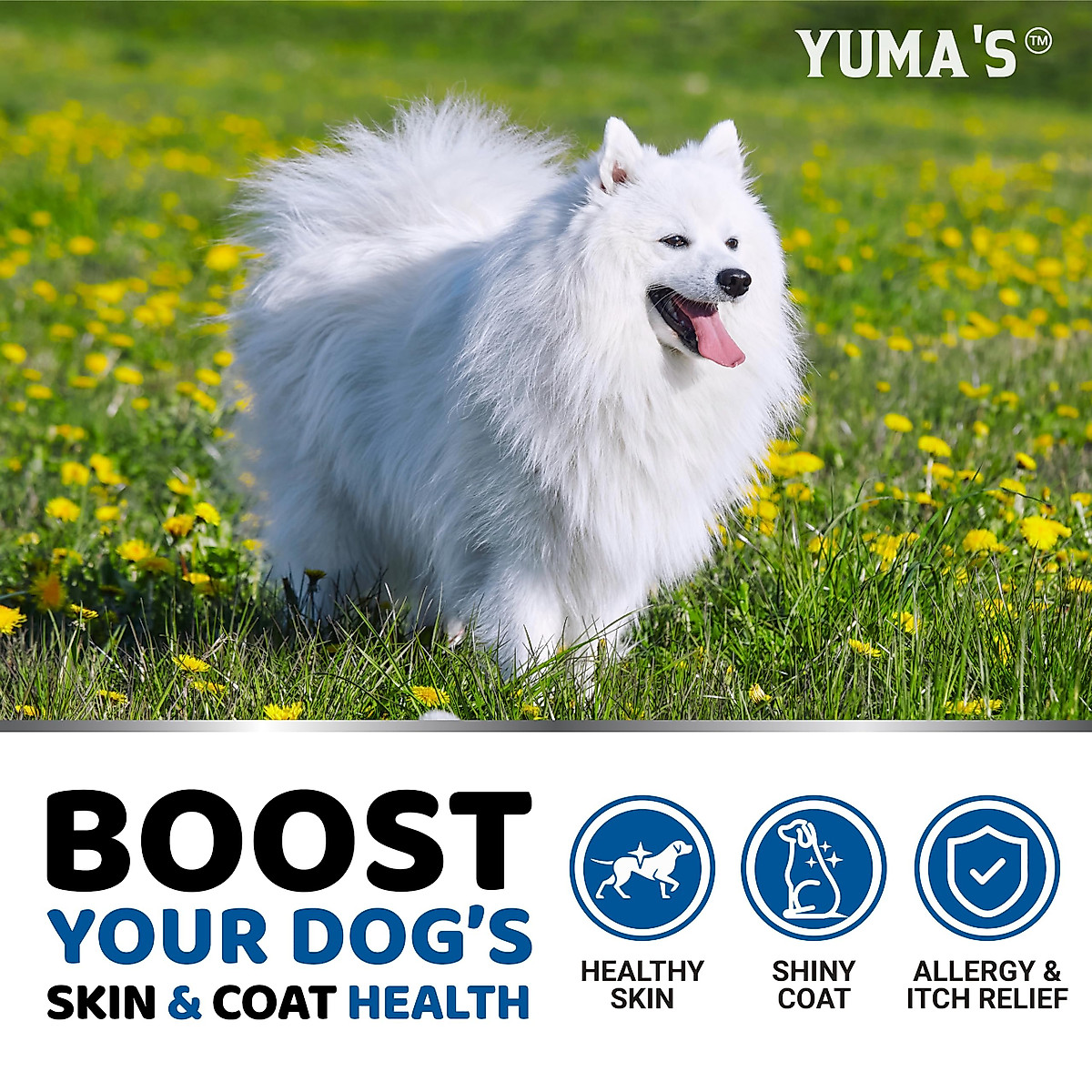 Omega 3 Fish Oil for Dogs - 170 Chews - Skin and Coat Supplement - Omega 3 for Dogs - Dry & Itchy Skin Relief Treatment - Allergy Support Dog Anti Shedding Treats - Salmon - EPA & DHA - Chicken Flavor