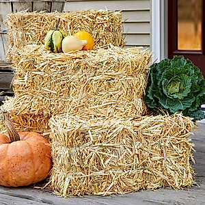 FloraCraft Decorative Straw Bale 8 Inch x 9 Inch x 20 Inch Natural