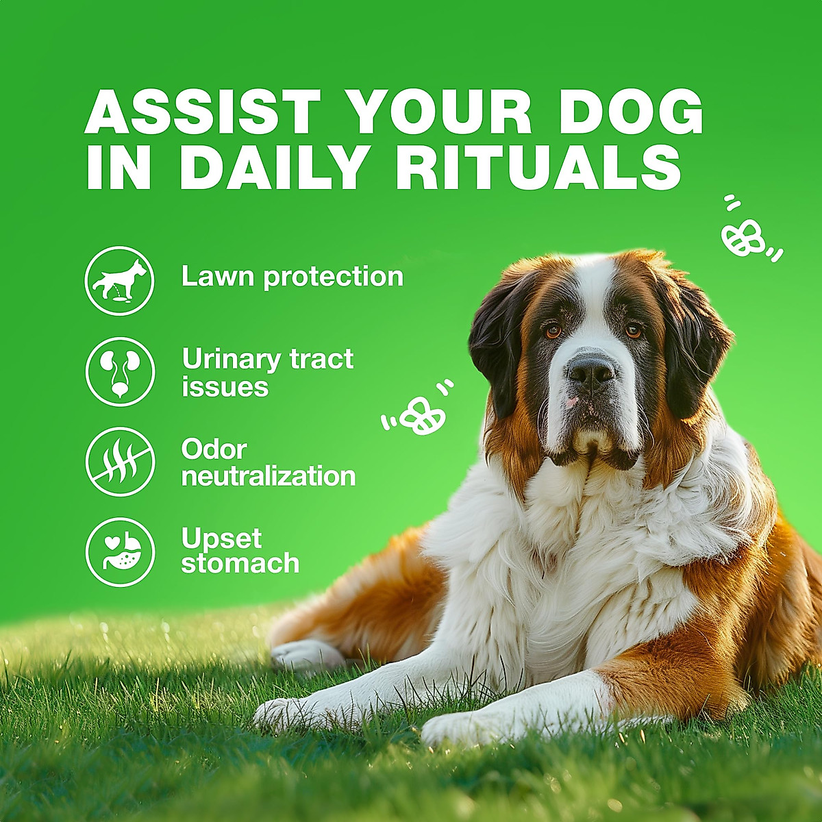 Grass Burn Spot Chews for Dogs - Dog Urine Neutralizer for Lawn - Grass Savers for Dog Urine - Dog Pee Lawn Spot Saver Caused by Dog Urine - Grass Treatment Rocks - Probiotics, Enzymes & Multivitamins