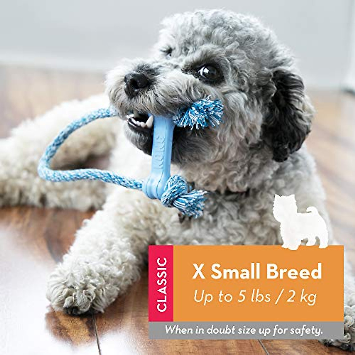 KONG - Puppy Goodie Bone with Rope - Teething Rubber, Teeth Cleaning Dog Toy - for X-Small Puppies - Blue