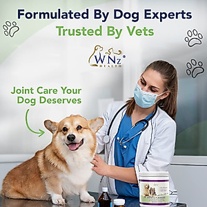 Hemp & Turmeric Hip and Joint Chews for Dogs - Dog Hemp Chews for Pain Relief & Arthritis - Anti-inflammatory Hemp Dog Treats w/MSM, Hemp Oil, Glucosamine and Chondroitin for Dogs 60 Chews, 8 Oz