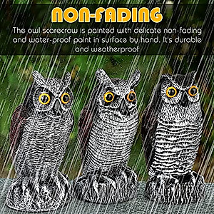 3-Pack Owl Decoys for Bird Deterrent - Weatherproof Bird Repellent Devices for Outdoor Use - Plastic Owls to Scare Birds Away and Control Garden Pests