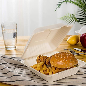 Pony Packaging 8X8 50-Pack 100% Compostable Clamshell Take Out Food Containers, Heavy-Duty Quality to go Containers, Natural Disposable Bagasse, Eco-Friendly Biodegradable Made of Sugar Cane Fibers