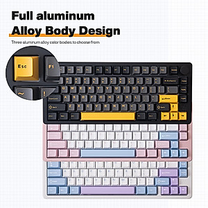 GK GAMAKAY TK75PRO Aluminum Alloy Mechanical Keyboard, Gasket Mounted, Hot Swappable KTT Hyacinth Switch 2.4GHz Wireless BT5.0/USB-C 75% 81 Keys Custom RGB Gaming Keyboard for Win/Mac (Milky White)