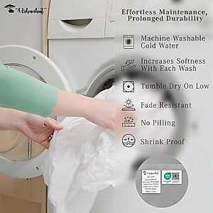 URBANHUT 800 Thread Count Egyptian Cotton Damask Striped Queen Size Sheets Set (4 Pc) - Ultra Soft & Smooth, Sateen Weave Queen Size Sheets, Luxury Hotel Sheets with 16" Deep Pocket - Silver Grey