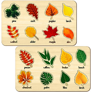 2 Pack Leaf Wooden Jigsaw Puzzles Preschool Puzzles Leaf Puzzle Montessori Toy Educational Plant Puzzle Leaf Shape Early Educational Learning Puzzle for Birthday Gift School Games