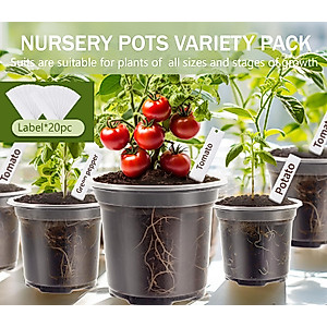 WandaQueen 30 Packs Clear Nursery Pots for Plants, 3.5/4/5 Inch Plant Pot for Planting Plastic Seedling Pots with Drainage Holes Seed Starter Pot High Transparency with 20 Plant Labels. (Transparent)