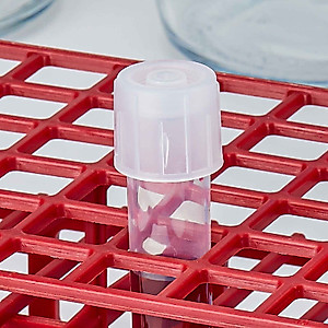 Globe Scientific 110178 Polypropylene Culture Tube with Attached Dual Position Cap, Sterile, 14mL Capacity, 17mm Dia, 100mm Height (Case of 500)