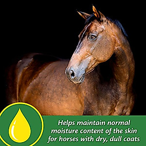 Farnam Super 14 Healthy Skin & Coat Supplement for Horses, Keeps Coats Shiny & Gleaming Year-Round 5 Pound, 80 Day Supply