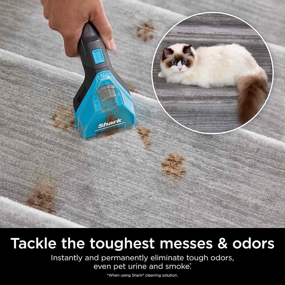 Shark StainStriker OXY Multiplier Formula for All Shark Portable & Upright Carpet Cleaners, Formulated for All Carpets, Upholstery & Area Rugs, Instantly Eliminates Odors, 32oz, EXOX32