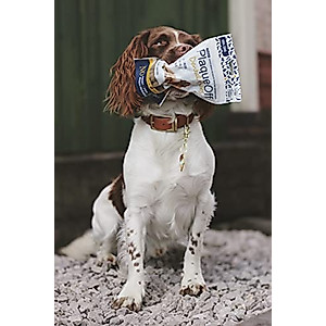 Proden Plaqueoff Dental Bites Dog, 150 G